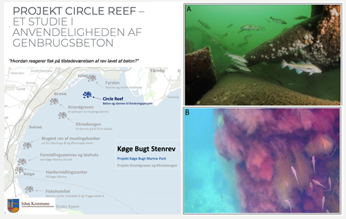 Genopretning af livet i Køge Bugt - Center for Marin Naturgenopretning