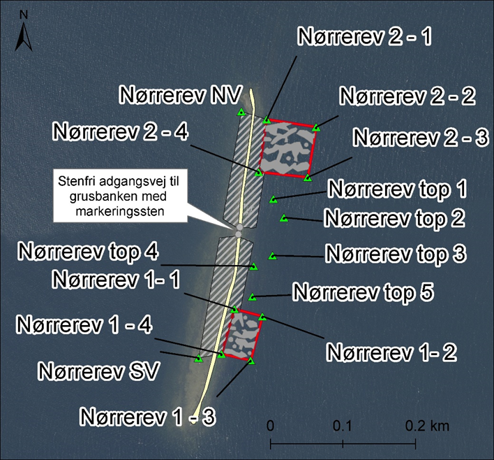 Roskilde Fjord - Center for Marin Naturgenopretning